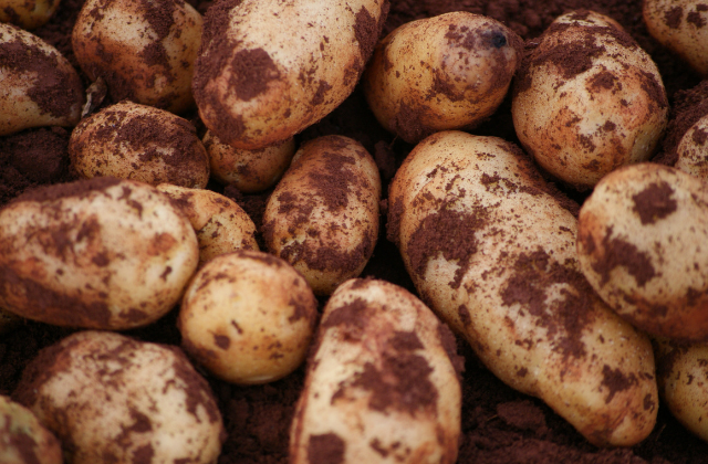 Resumo Nutricional da Batata | Yara Brasil