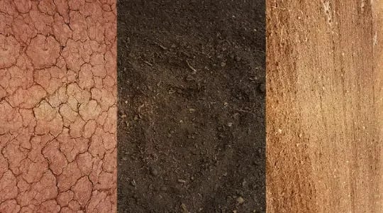 Tipos de solo no Brasil | Yara Brasil