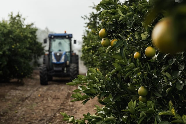 YaraAmplix BIOTRAC na Citricultura | Yara Brasil