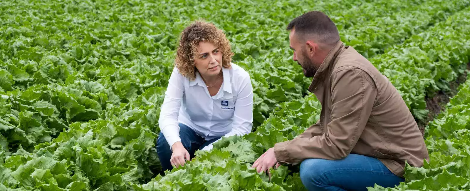 YaraTera KRISTA MAP | Yara Brasil